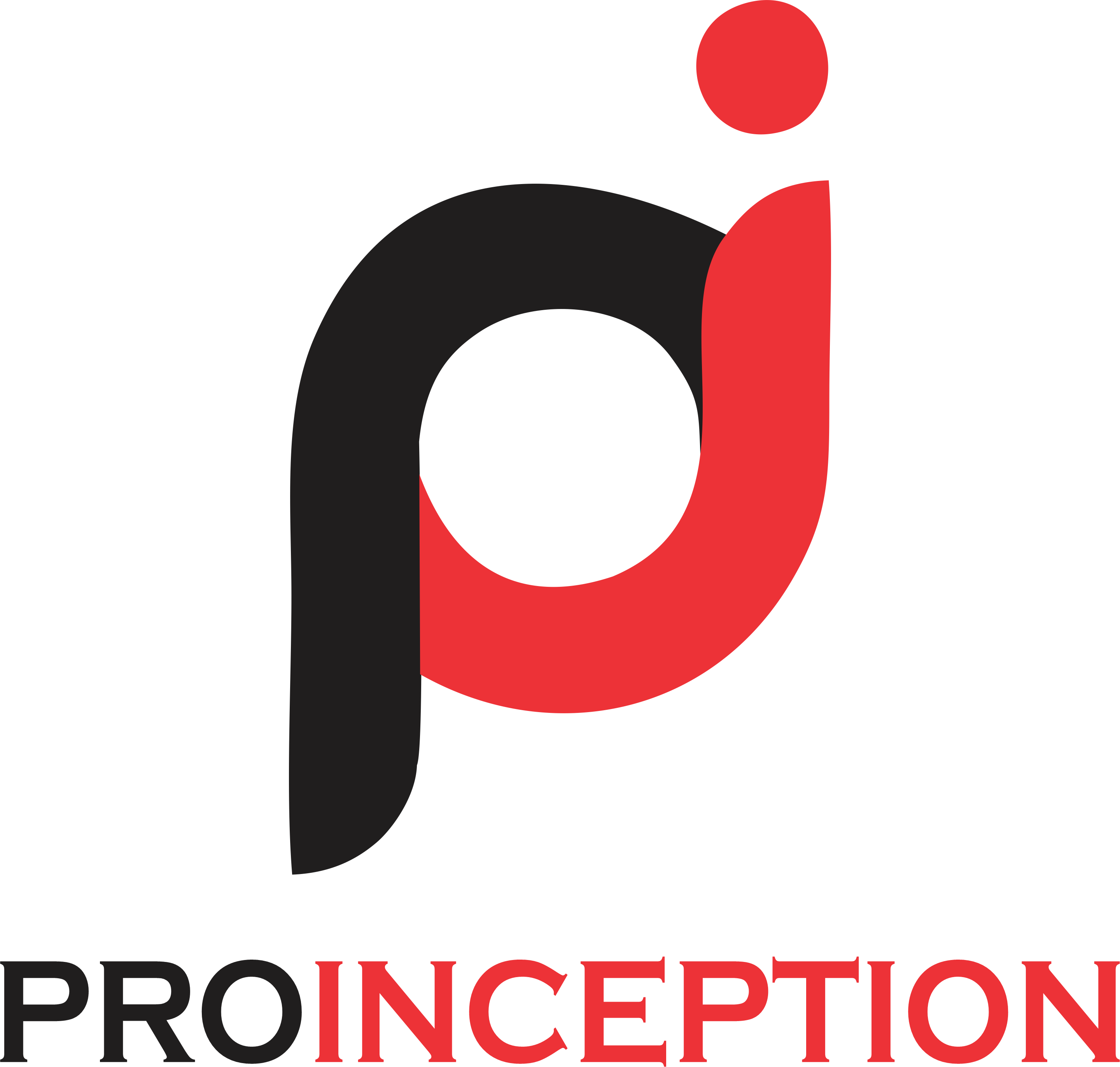 DMM Distribution Partners - Infosistema